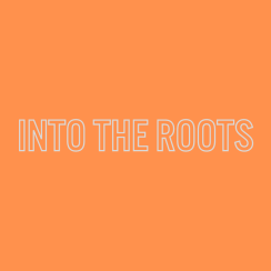 OKiS » PIOTR DAMASIEWICZ: INTO THE ROOTS